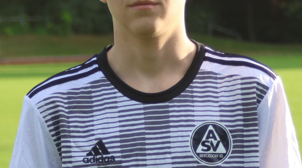 Niklas Fink | ASV Bergedorf 85 – Fußballabteilung